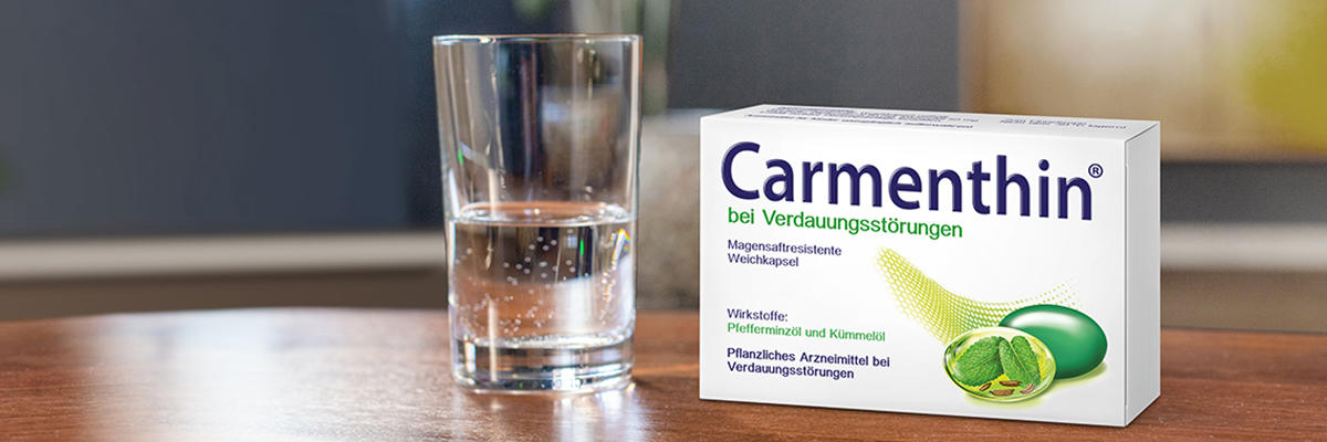 Startseite Produkte Carmenthin®